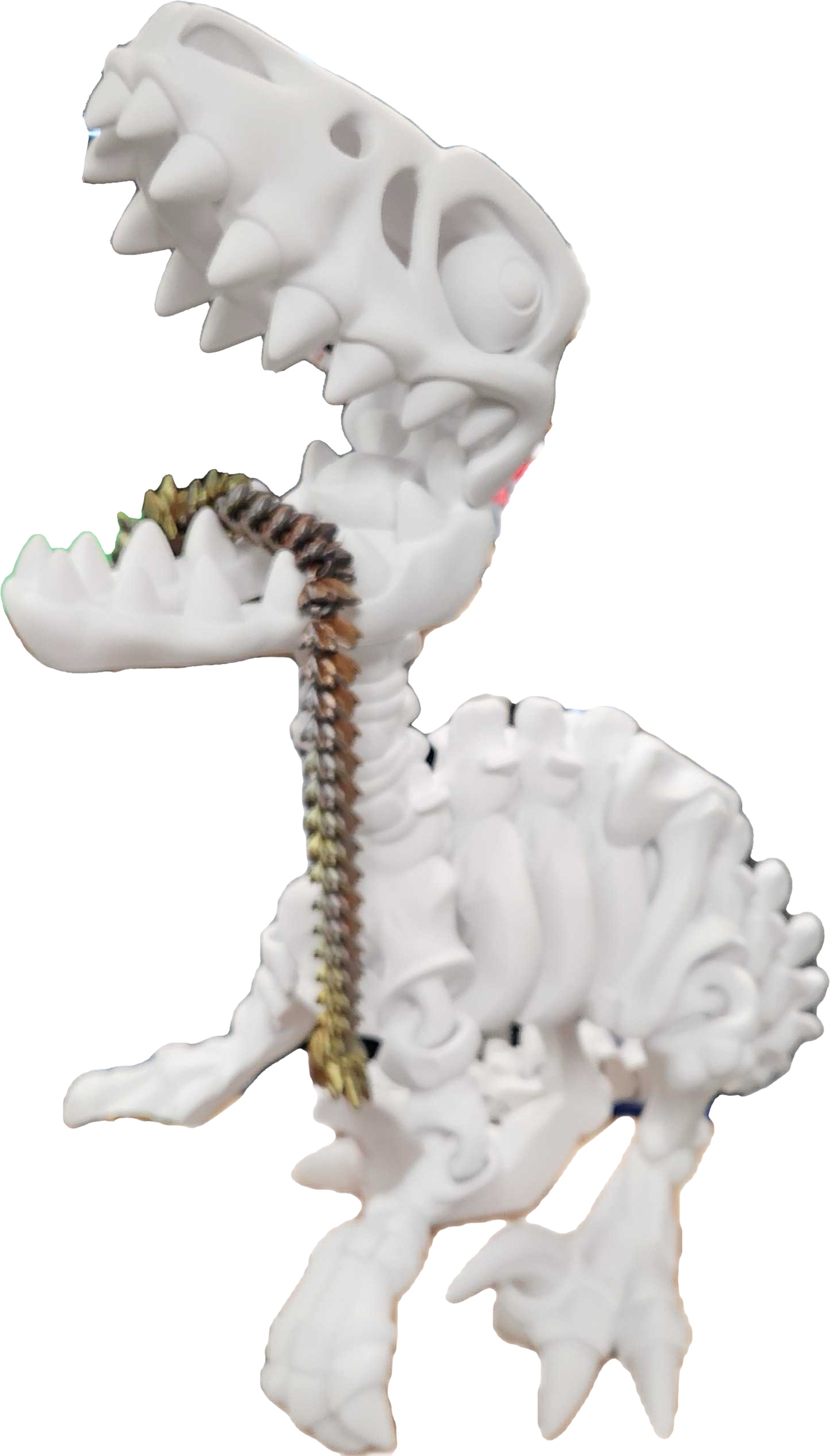 Flexi Factory Skeleton Raptor - XXL 3D tisk (500% zvětšení) - 3D Stisk ...